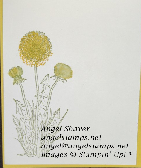 Easter Butterflies - Adaptive Crafting