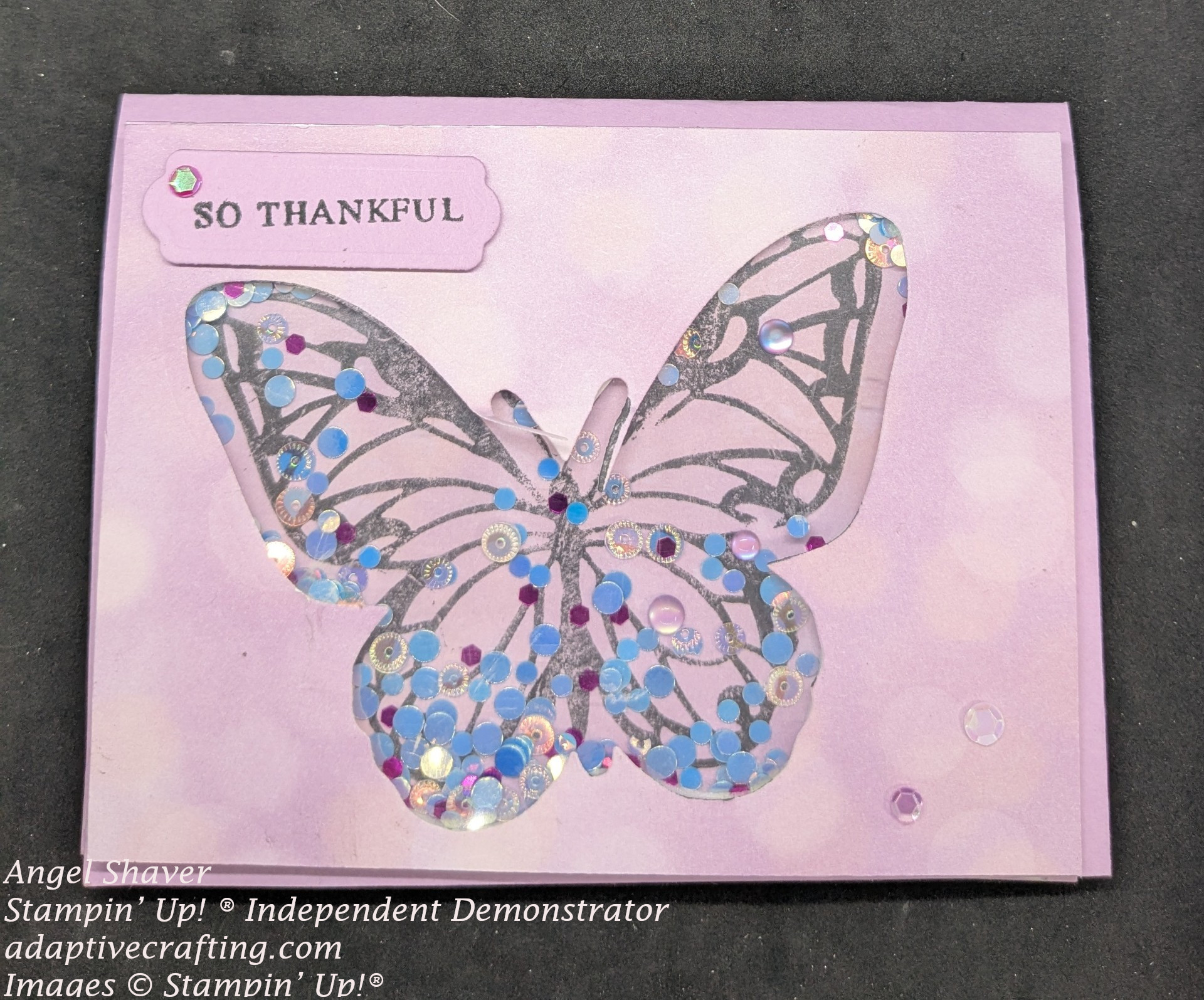 Shaker Butterfly - Adaptive Crafting